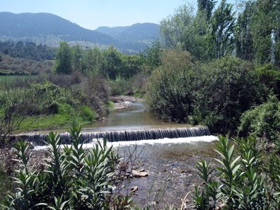 Springtime in Turkey – Part 6 | News – CoinsWeekly